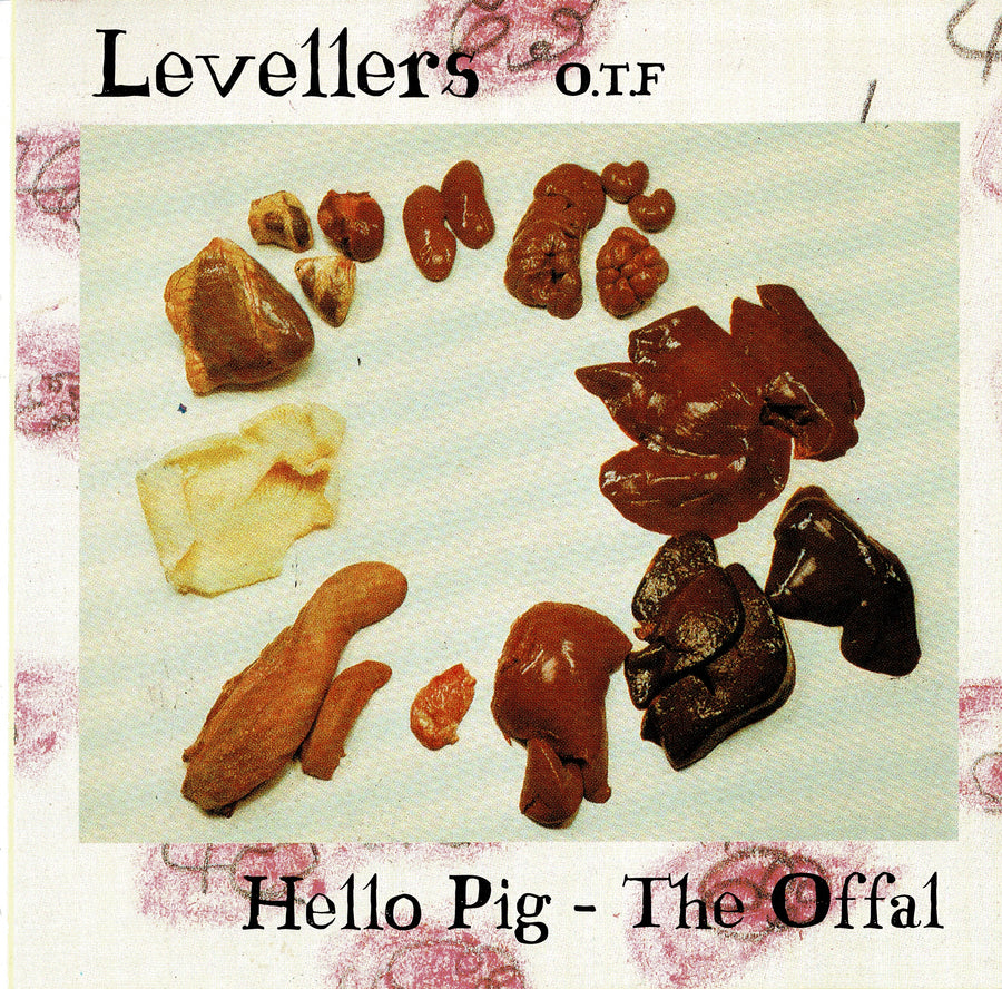 Discography – Levellers